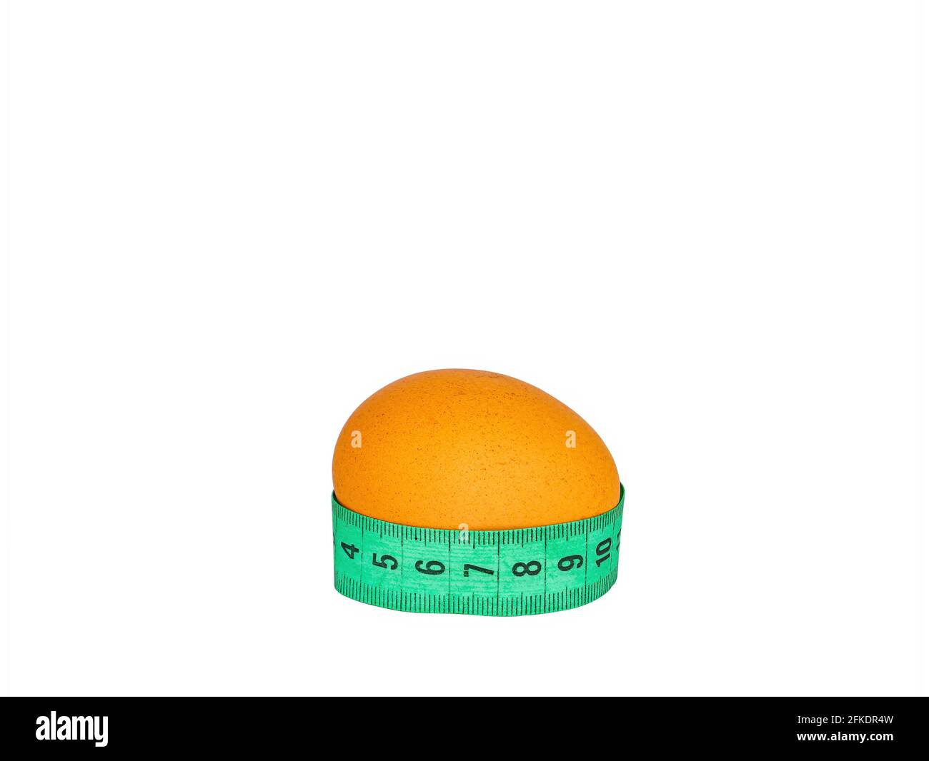 Measure the size of a chicken egg with a meter. Chicken eggs. Measuring ...