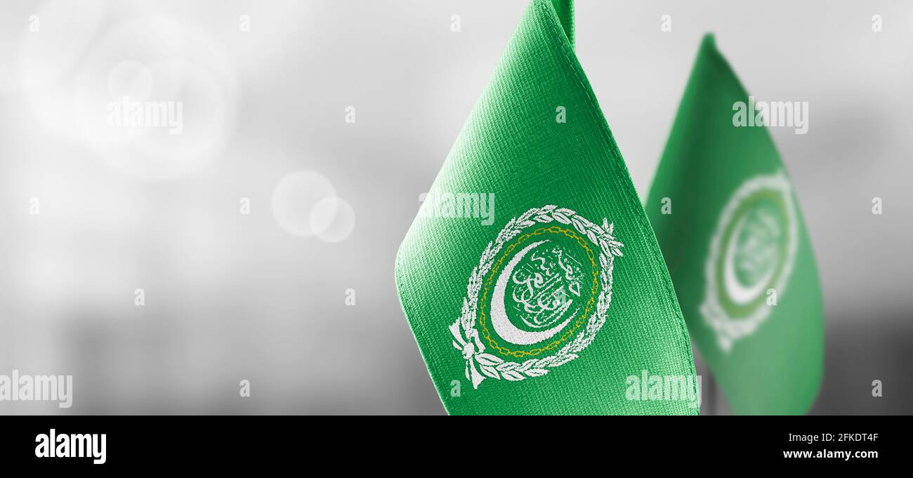 Patch of the national flag of the Arab League on a white t-shirt Stock ...