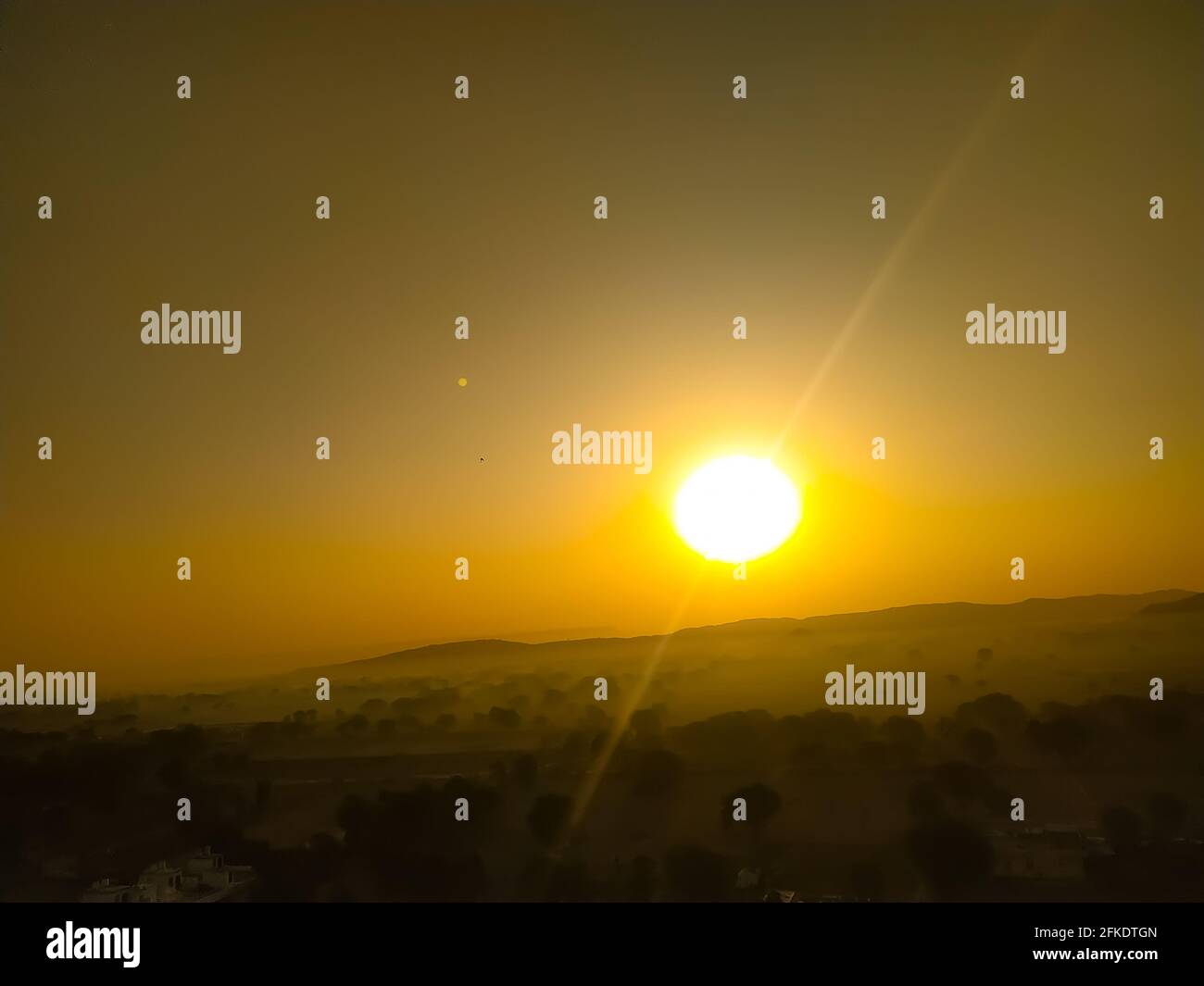 Beautiful yellow sun rising over the field Stock Photo - Alamy