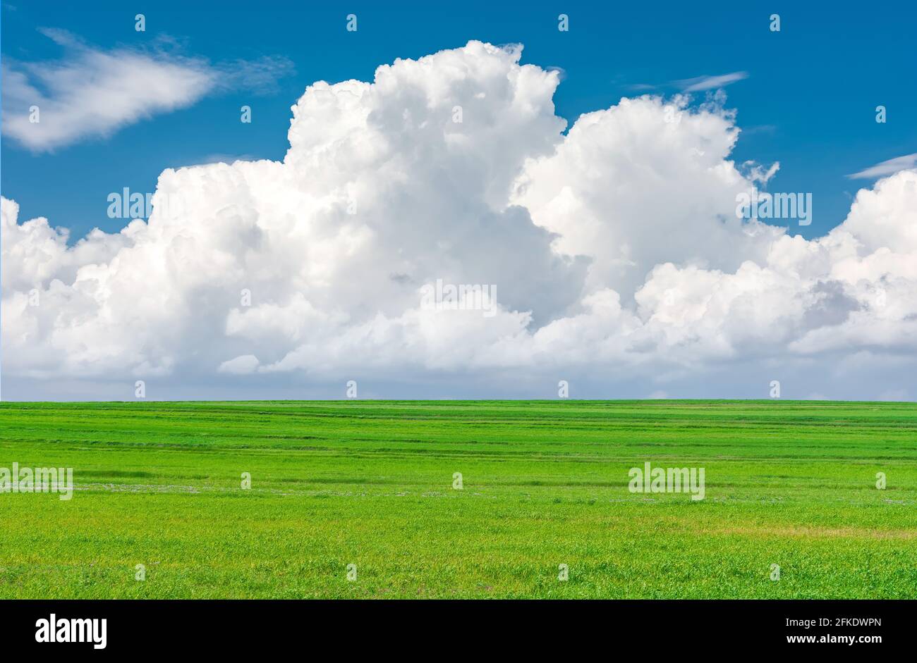 Landscape view of green grass on field with blue sky and clouds ...