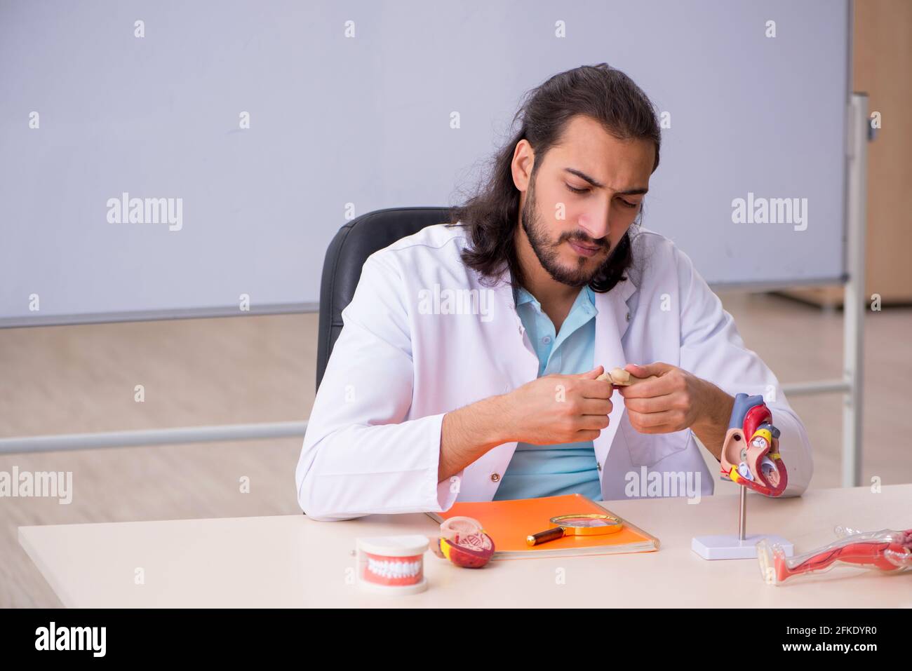 Young student studying human anatomy Stock Photo - Alamy