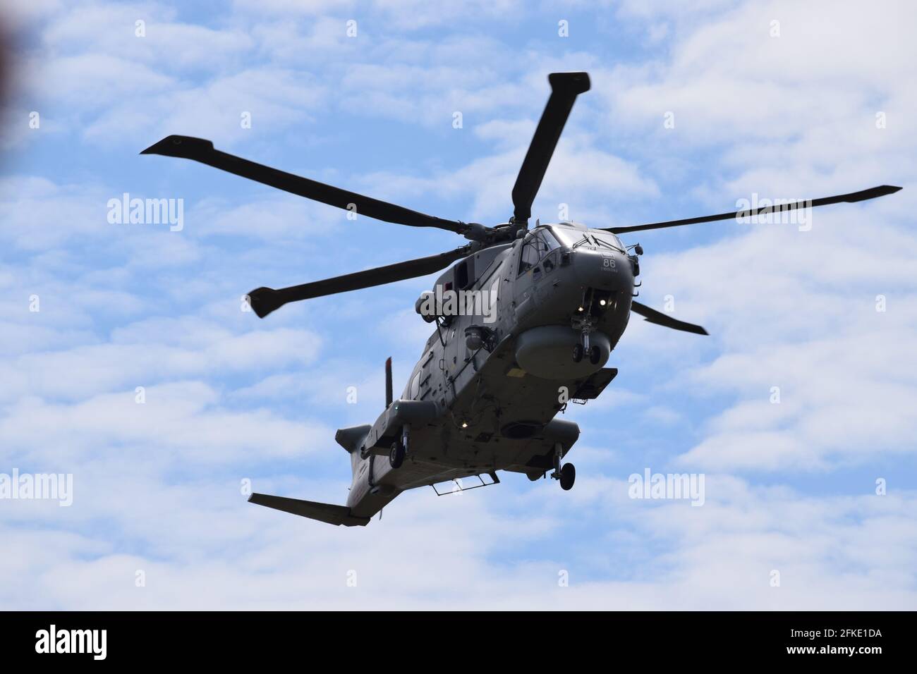 Merlin in flight hi-res stock photography and images - Alamy