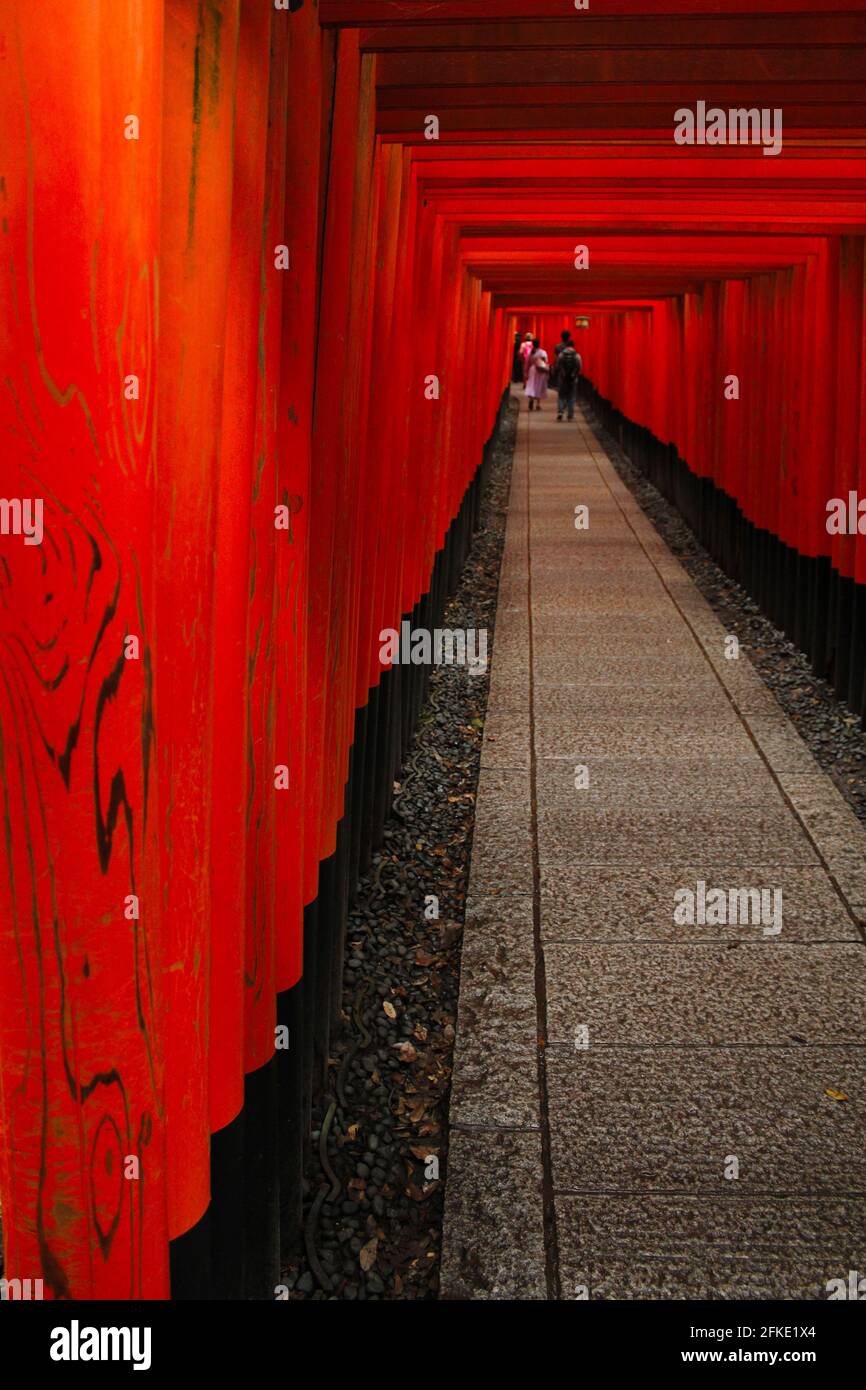 Thousand toris hi-res stock photography and images - Alamy