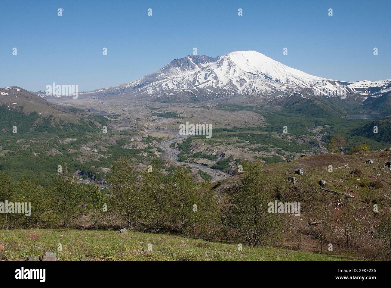 Mt St Helens in Washington State which erupted on 18 May 1980 with ...