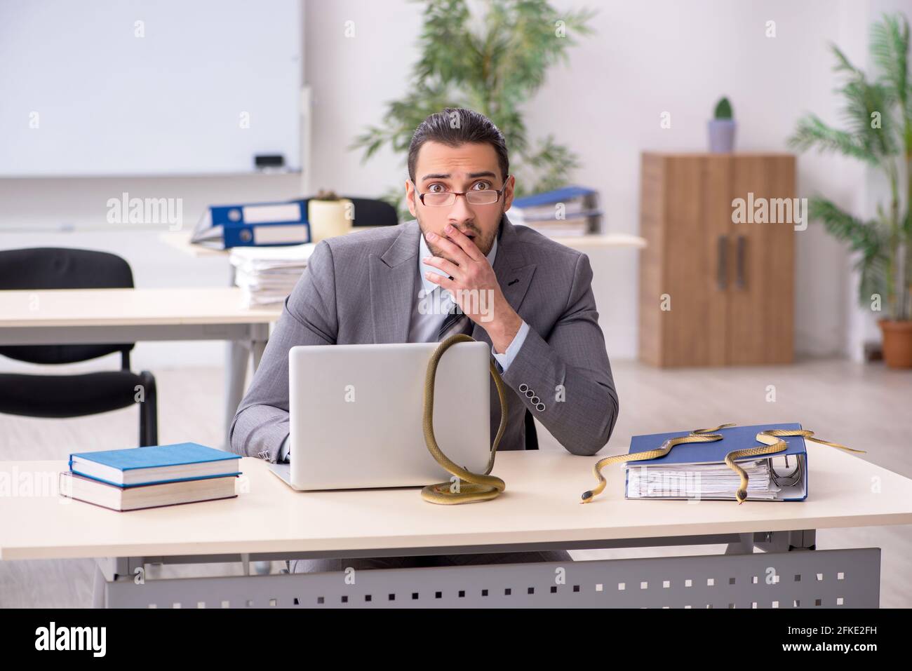 Male employee with snake in the office Stock Photo - Alamy
