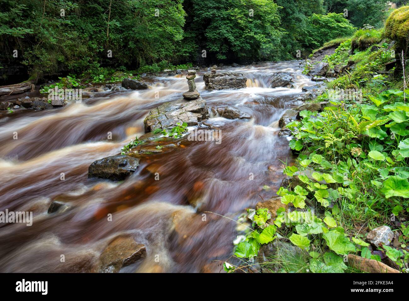Fast river flow Stock Photo - Alamy