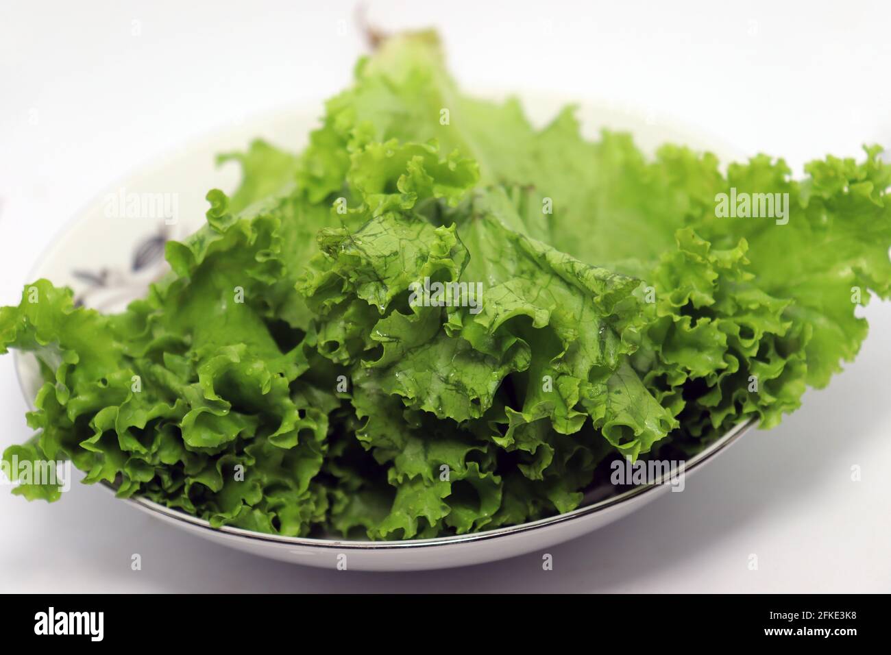 tasty and healthy green colored lettuce leaf on plate Stock Photo - Alamy