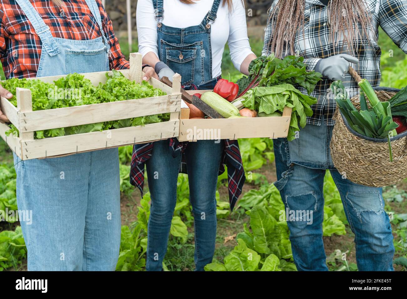 Female farmers working in countryside holding wooden basket containing ...