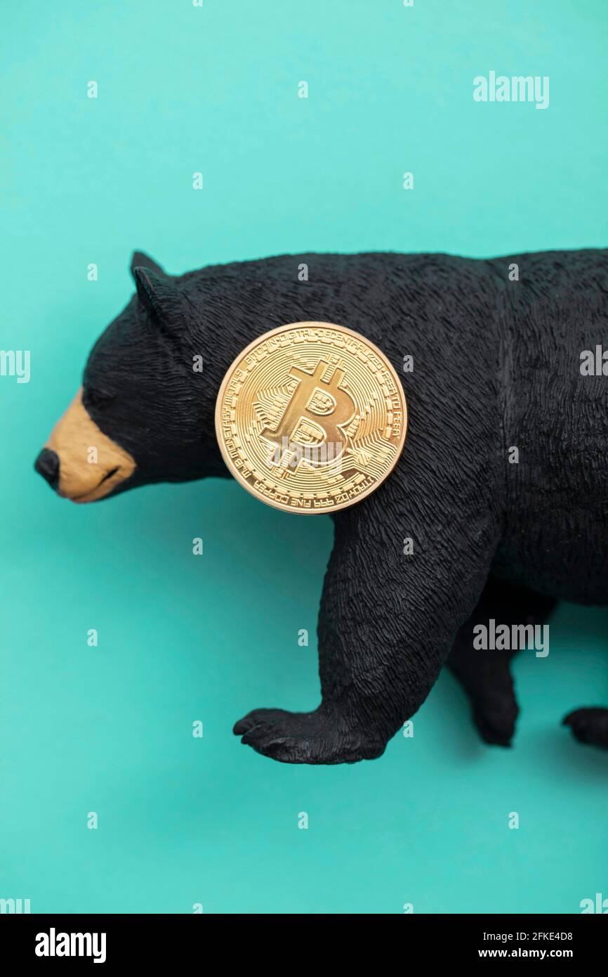 Bitcoin cryptocurrency coin with a grizzly bear. Bearish bitcoin ...