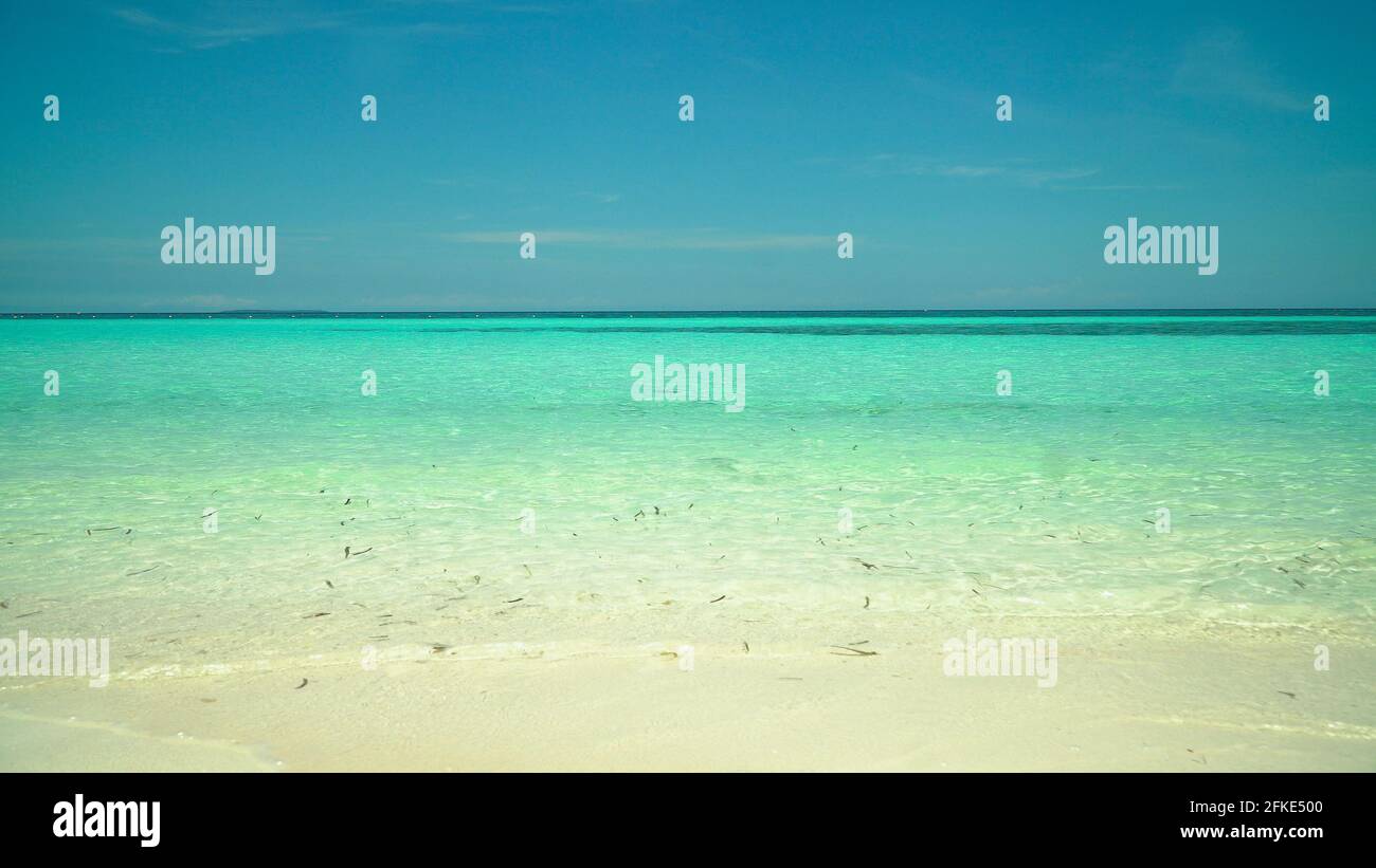Coast with Sandy beach and turquoise water. Bohol, Panglao island ...