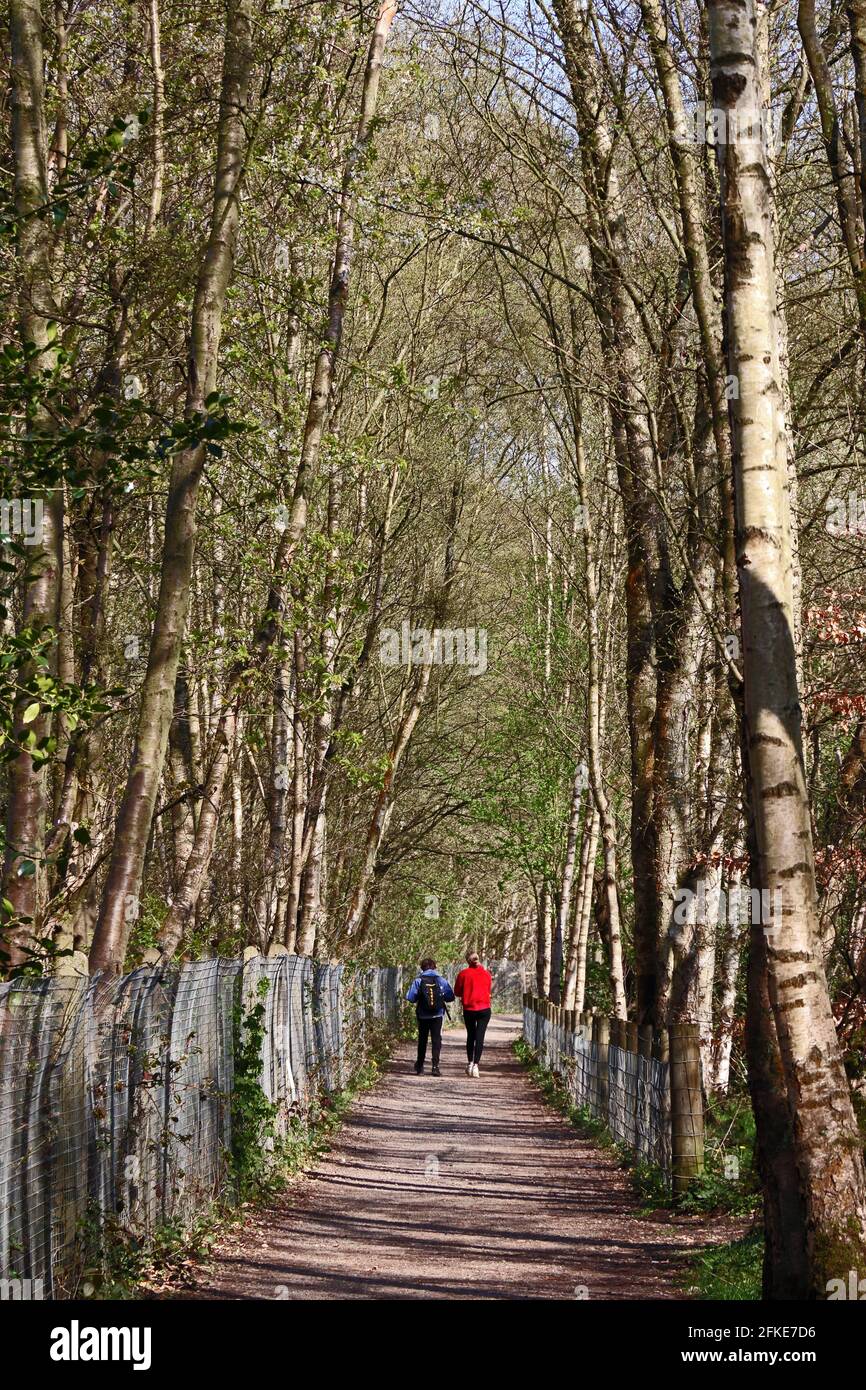 Two people walk along tree hi-res stock photography and images - Alamy