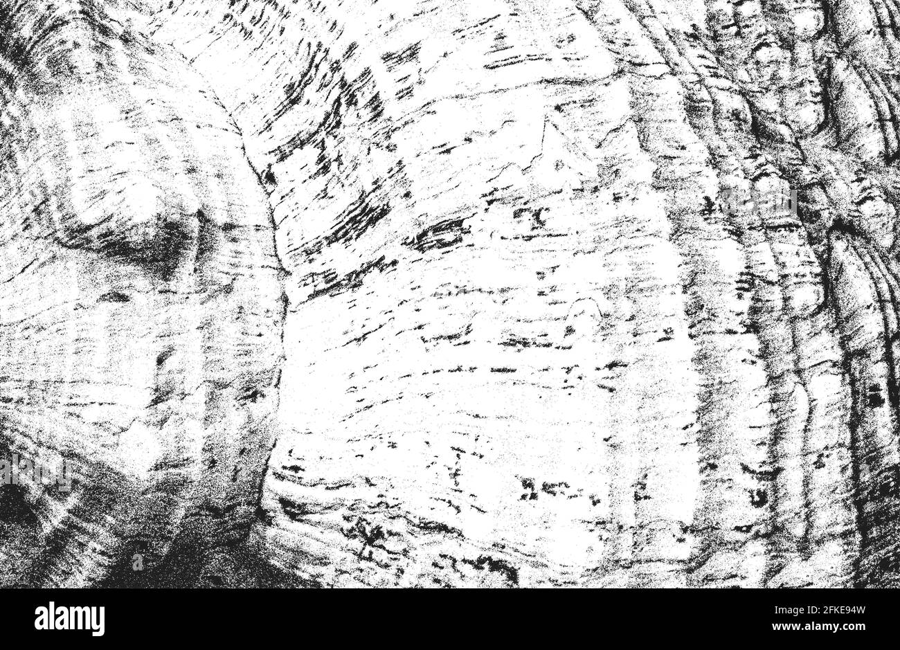 Distressed overlay texture of closeup seashell armor. grunge background ...