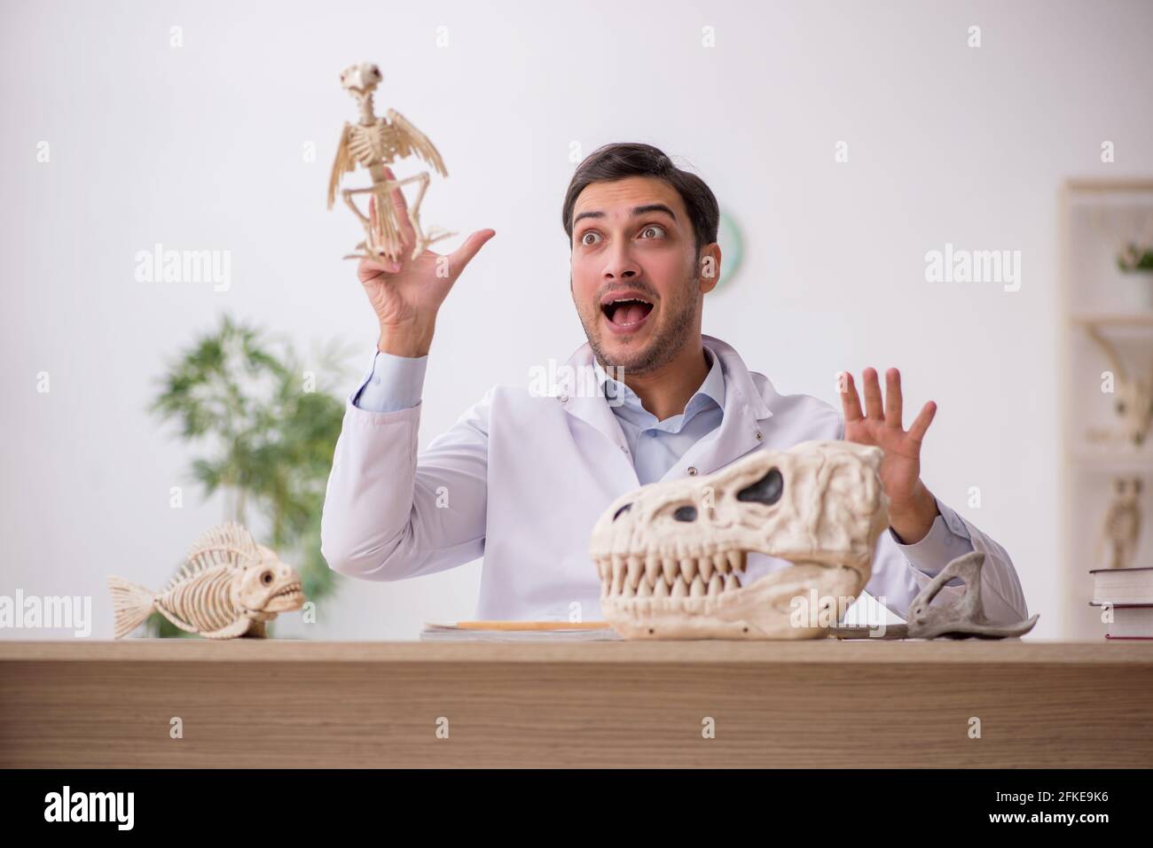 Young student paleontologist examining ancient animals at lab Stock ...