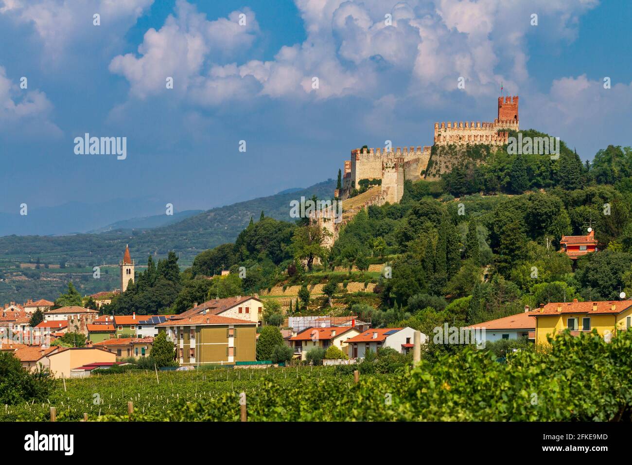 Verona medieval castle hi-res stock photography and images - Alamy