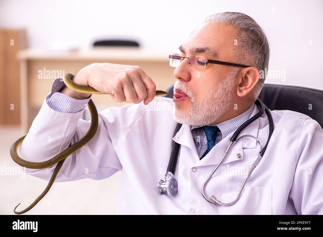 Aged male doctor holding snake at workplace Stock Photo - Alamy