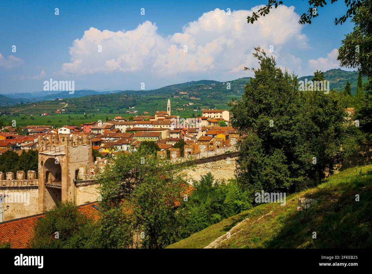 Crenulation hi-res stock photography and images - Alamy