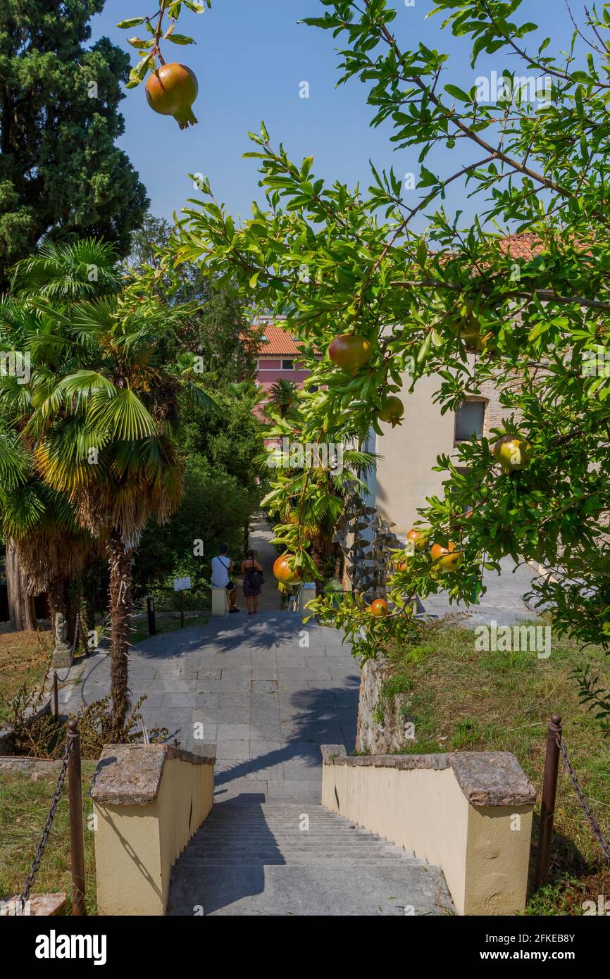 View of Soave's village near Verona Stock Photo - Alamy