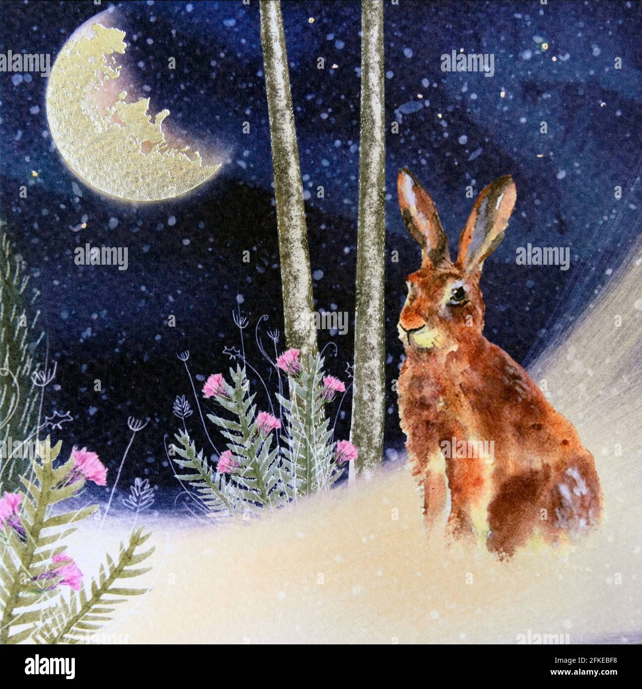Christmas card illustration. Moonlight hare Stock Photo - Alamy