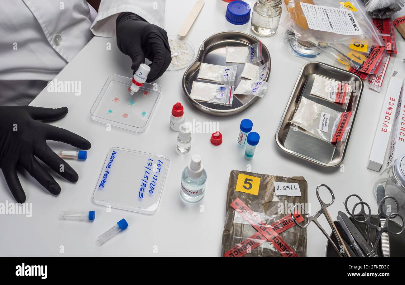Scientific police hold positive drug reagent at crime lab, conceptual ...