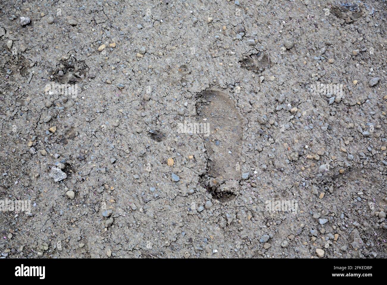Footprint in top view soil ground Stock Photo - Alamy