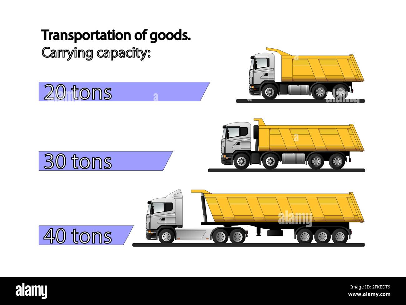 Infographics of the carrying capacity Stock Vector Image & Art - Alamy
