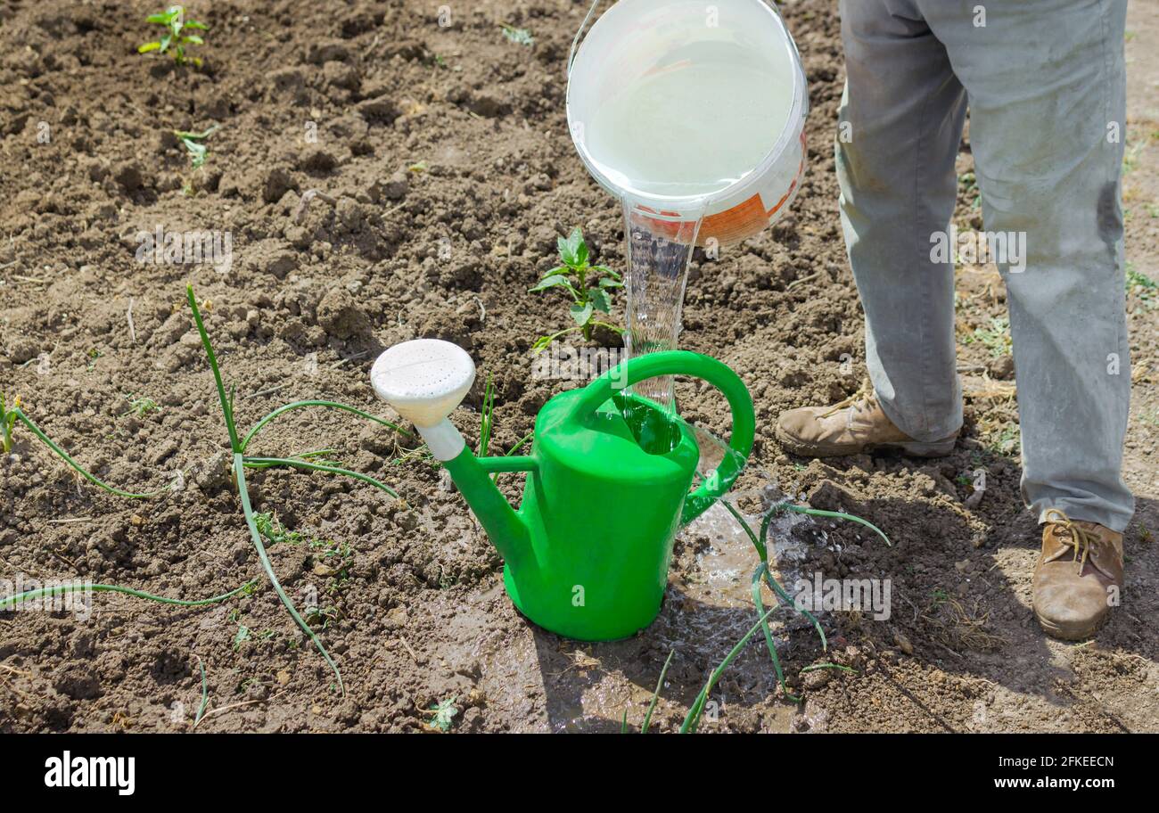 Man filling water bucket hi-res stock photography and images - Alamy