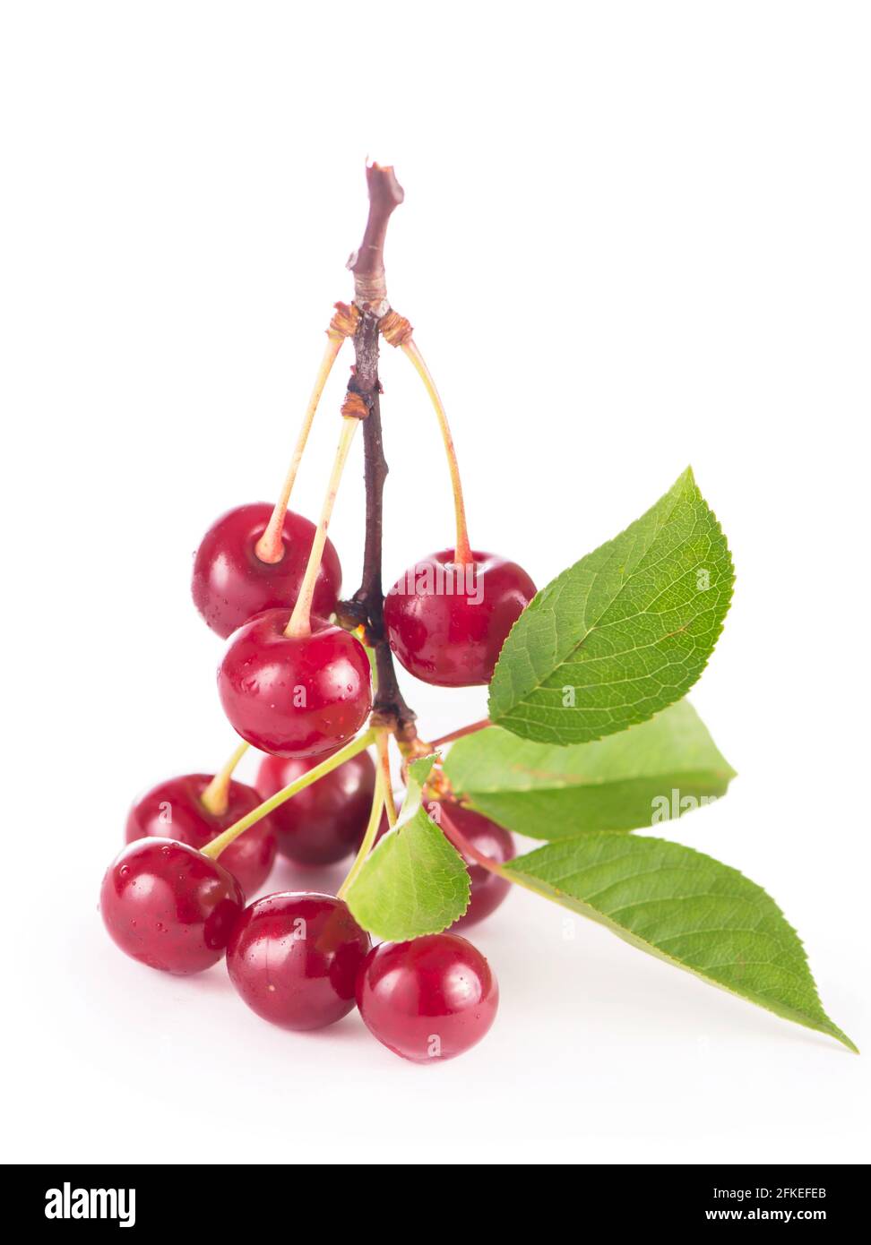 Ripe fresh red cherry isolated on white background. With clipping path ...