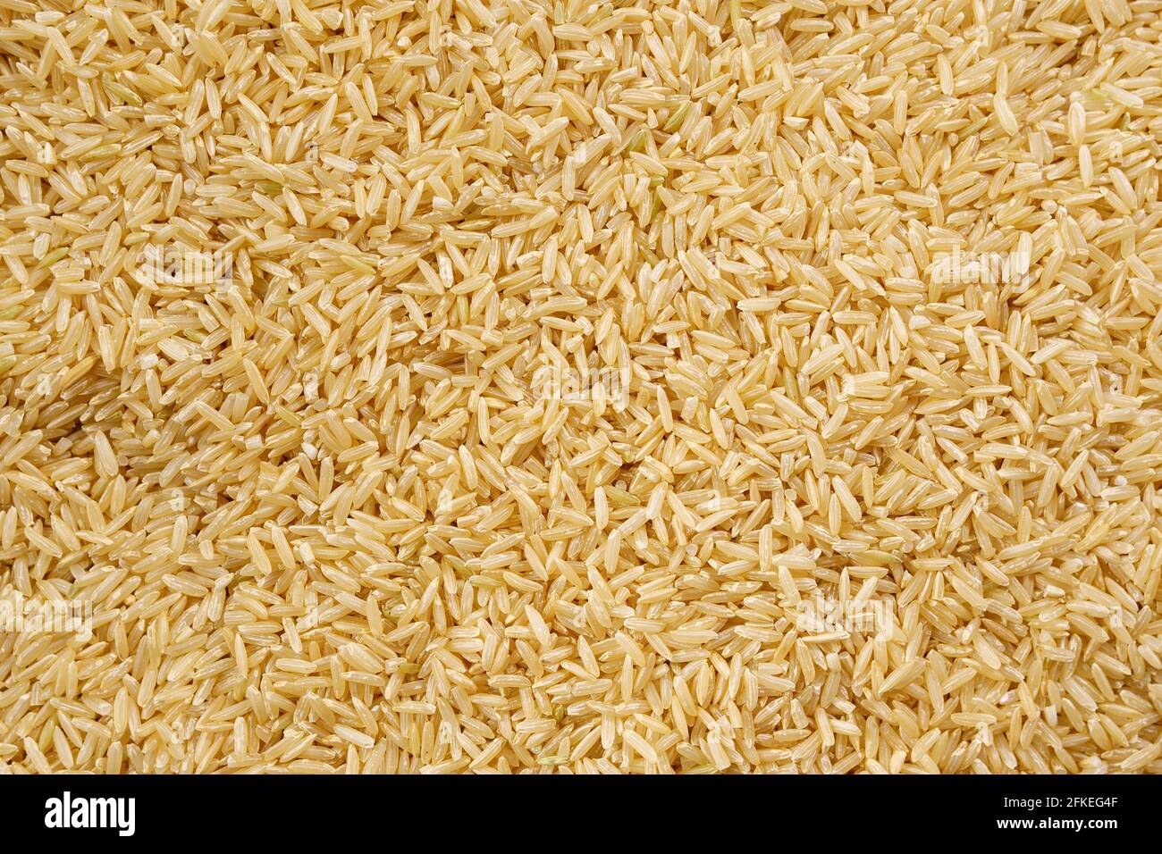 Brown rice close-up texture. world food day. Food and Agriculture Stock ...