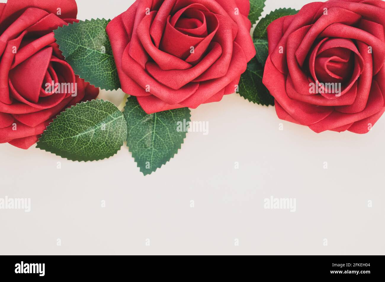 Red roses isolated on light background Stock Photo - Alamy