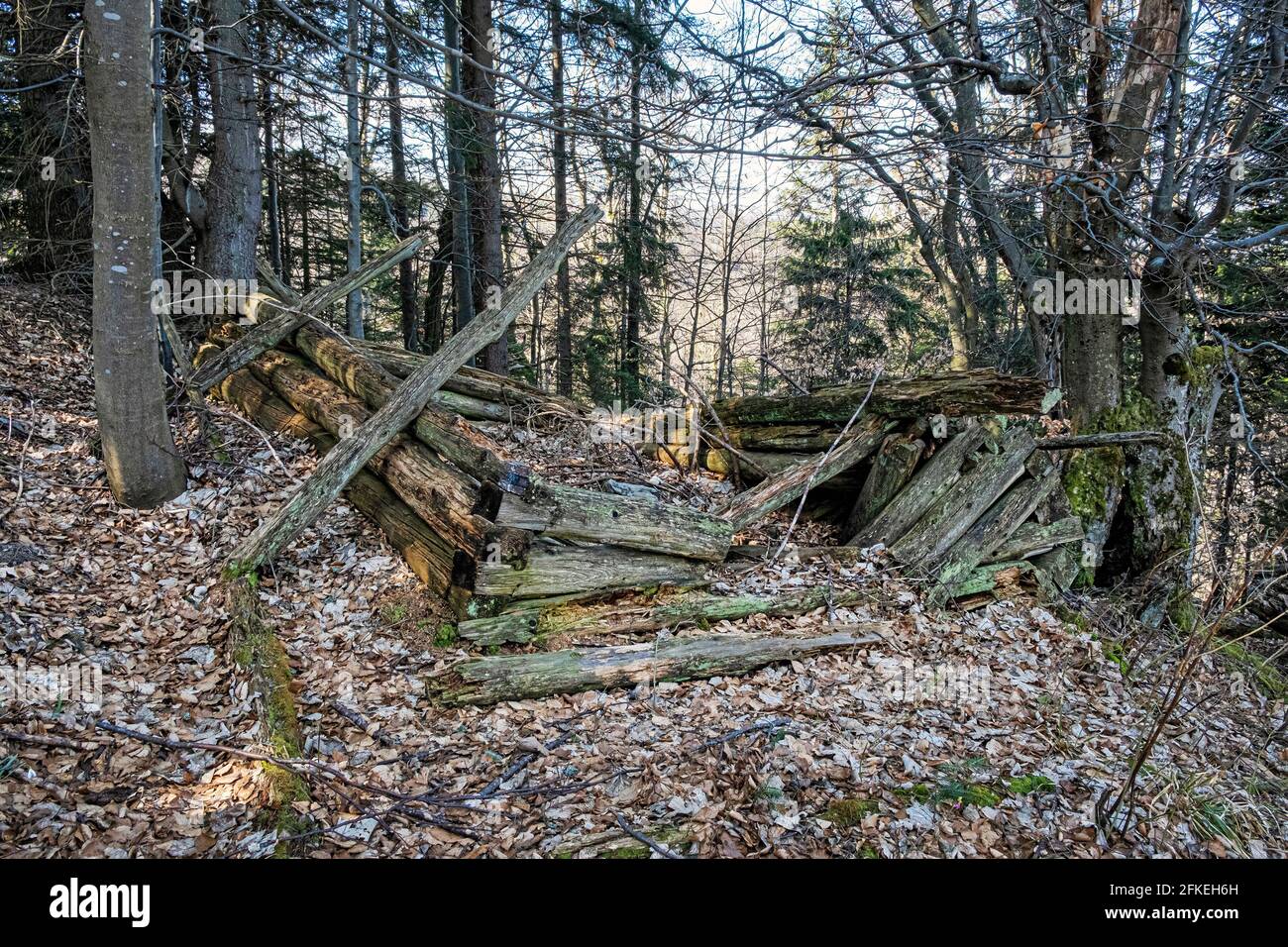 Destroyed wooden hut, Big Fatra mountais, Slovak republic. Hiking theme ...