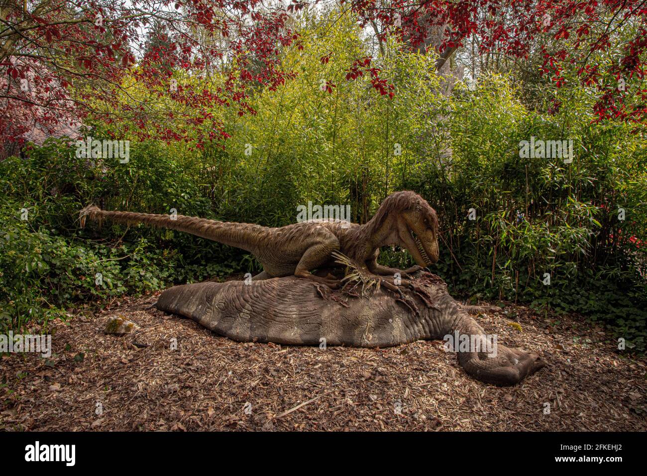 Blackpool Zoo Animals Stock Photo - Alamy