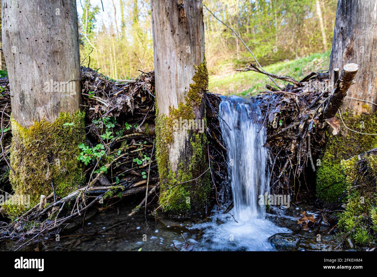 Small waterfall in a forest hi-res stock photography and images - Alamy