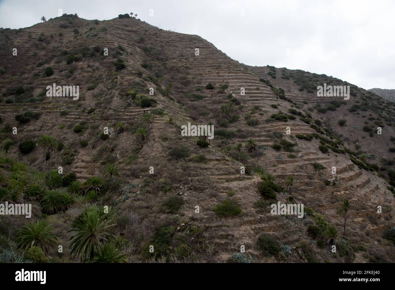 Terrassen feldbau hi-res stock photography and images - Alamy