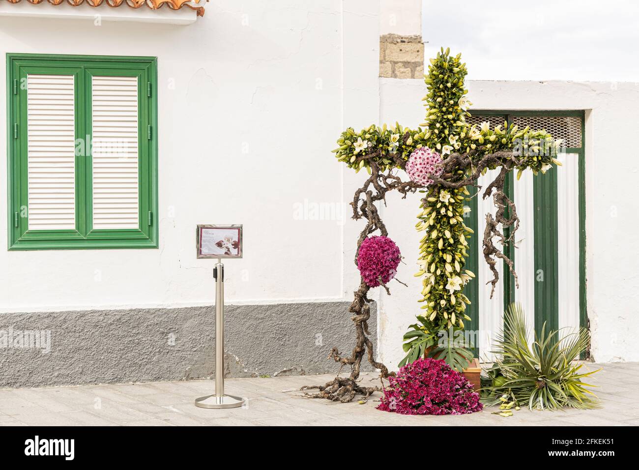 árbol de la iglesia hi-res stock photography and images - Alamy
