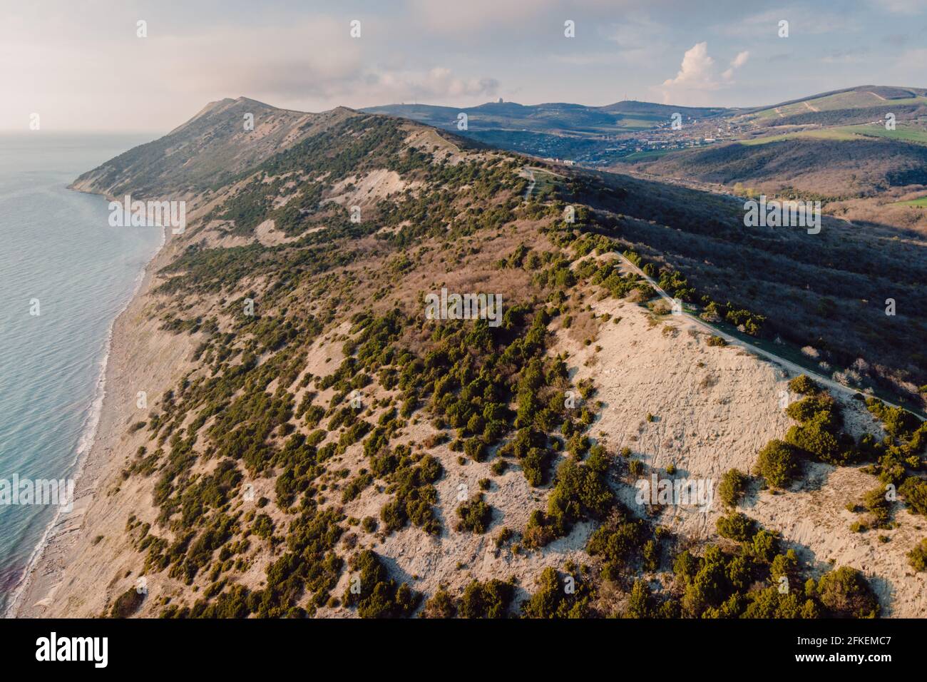 Aerial view of coastline with sea and cliff with evergreen trees Stock ...