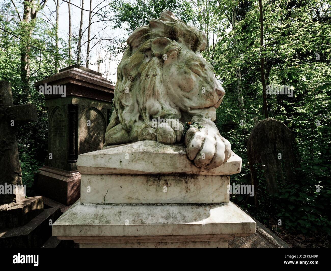 Abney Park Cemetery Stock Photo - Alamy