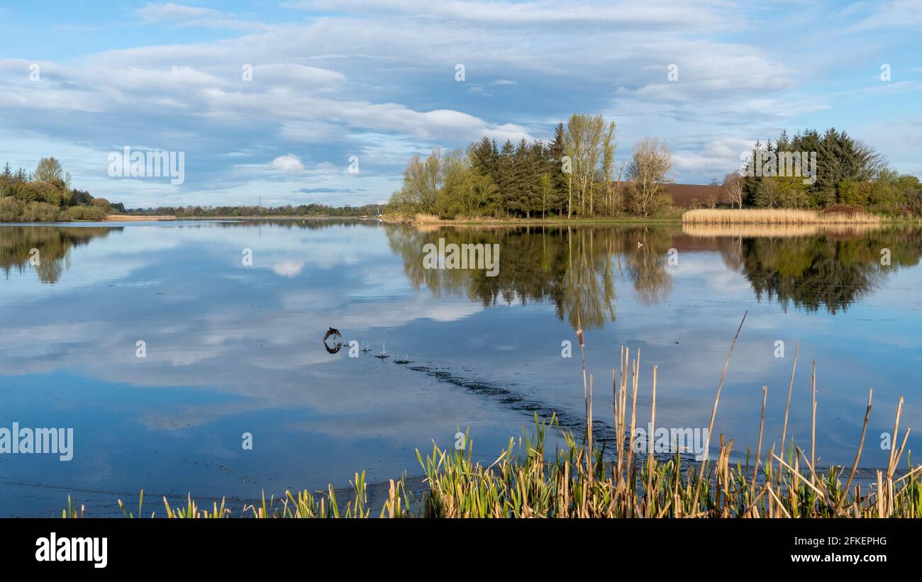 Forfar loch hi-res stock photography and images - Alamy