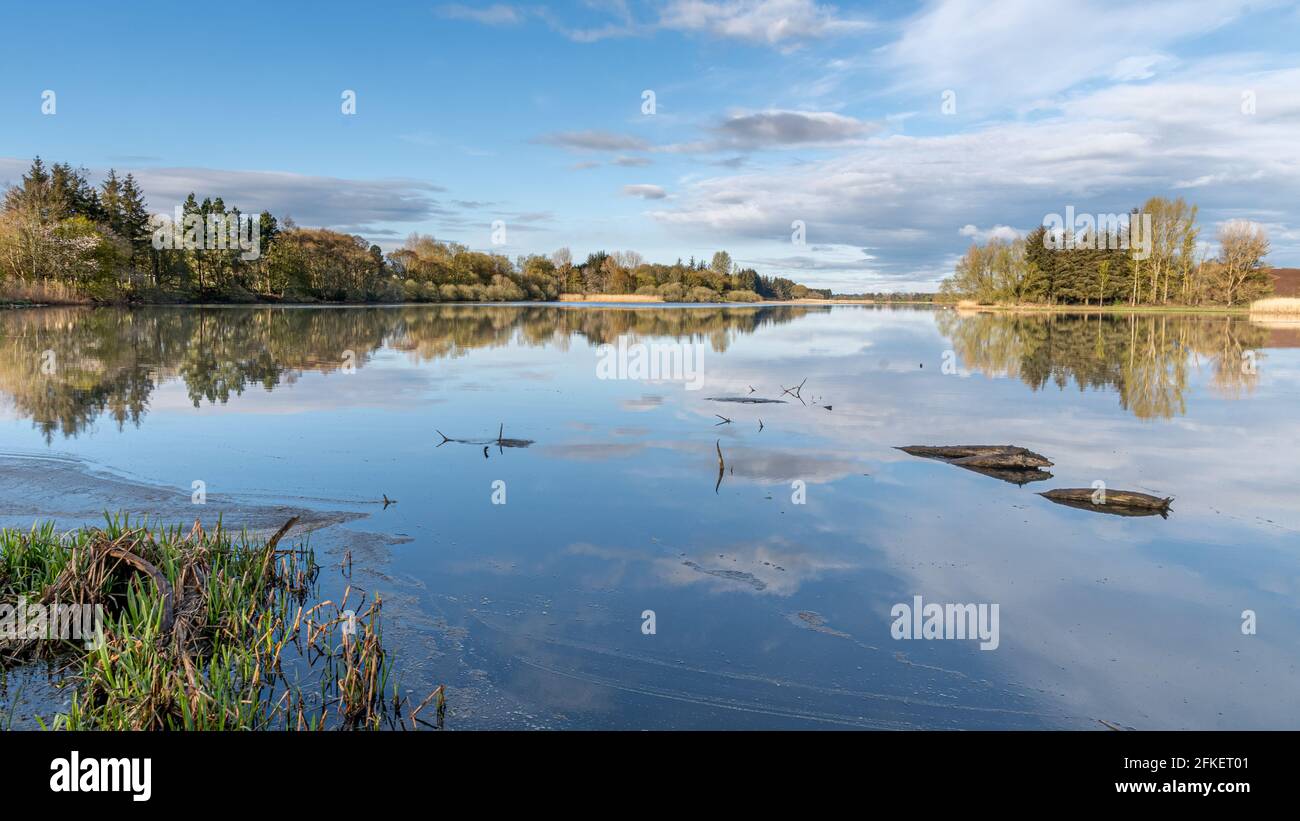 Forfar Loch Angus Scotland on a bright frosty morning Stock Photo - Alamy
