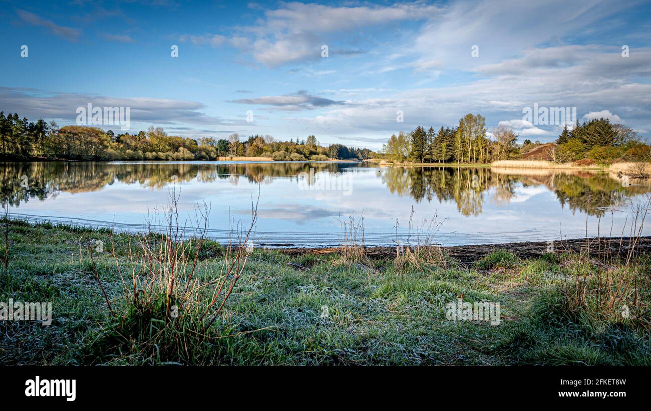 Forfar Loch Angus Scotland on a bright frosty morning Stock Photo - Alamy