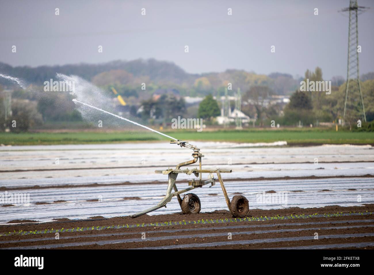 irrigation system on a field Stock Photo - Alamy