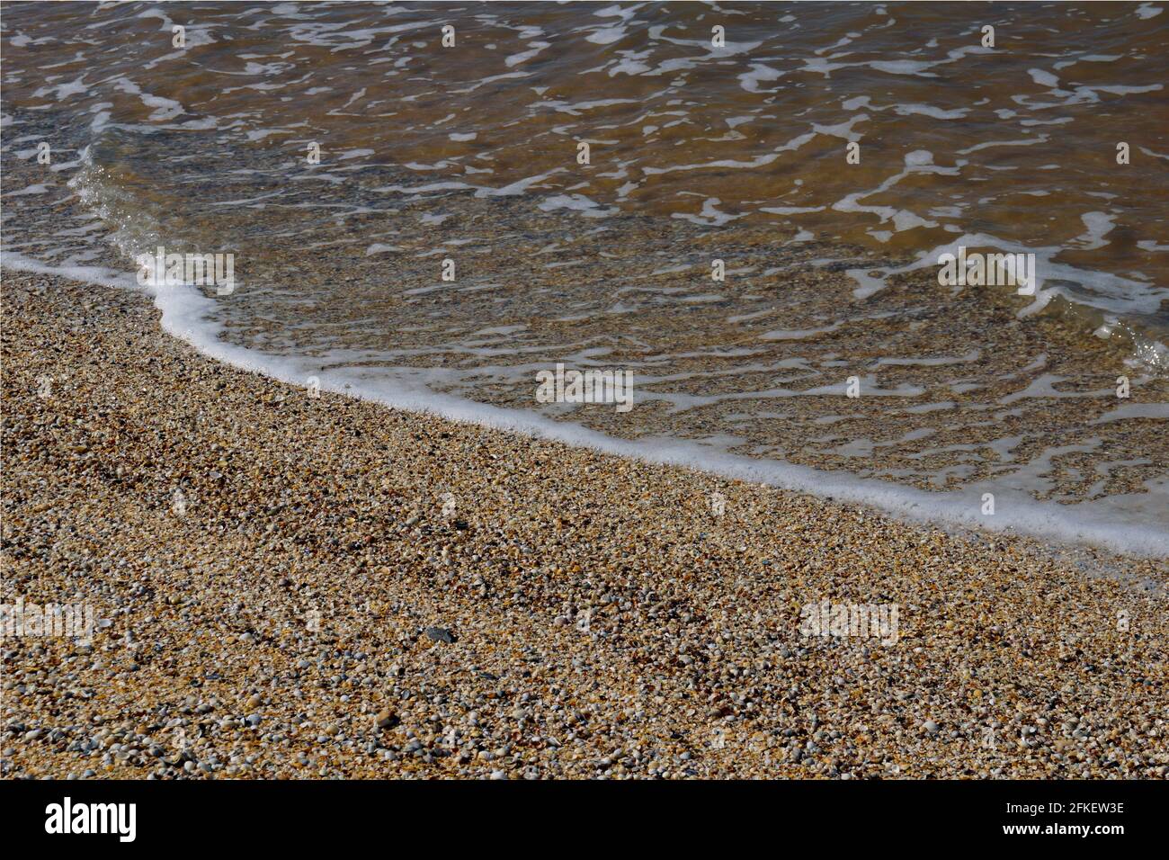 Small seashells on the beach Background of the shell Stock Photo - Alamy