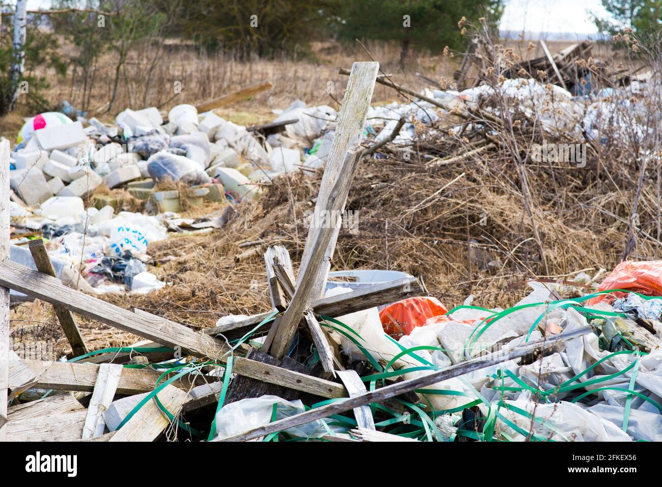 Rubbish in a forest, garbage, dump and trash Stock Photo - Alamy