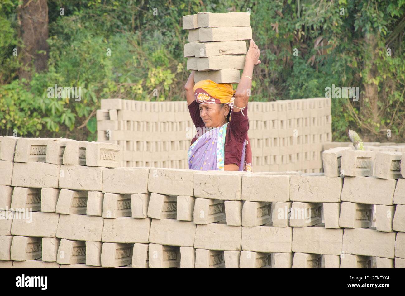 Picture of a brick kiln in the remote Hooghly district. Adult workers ...