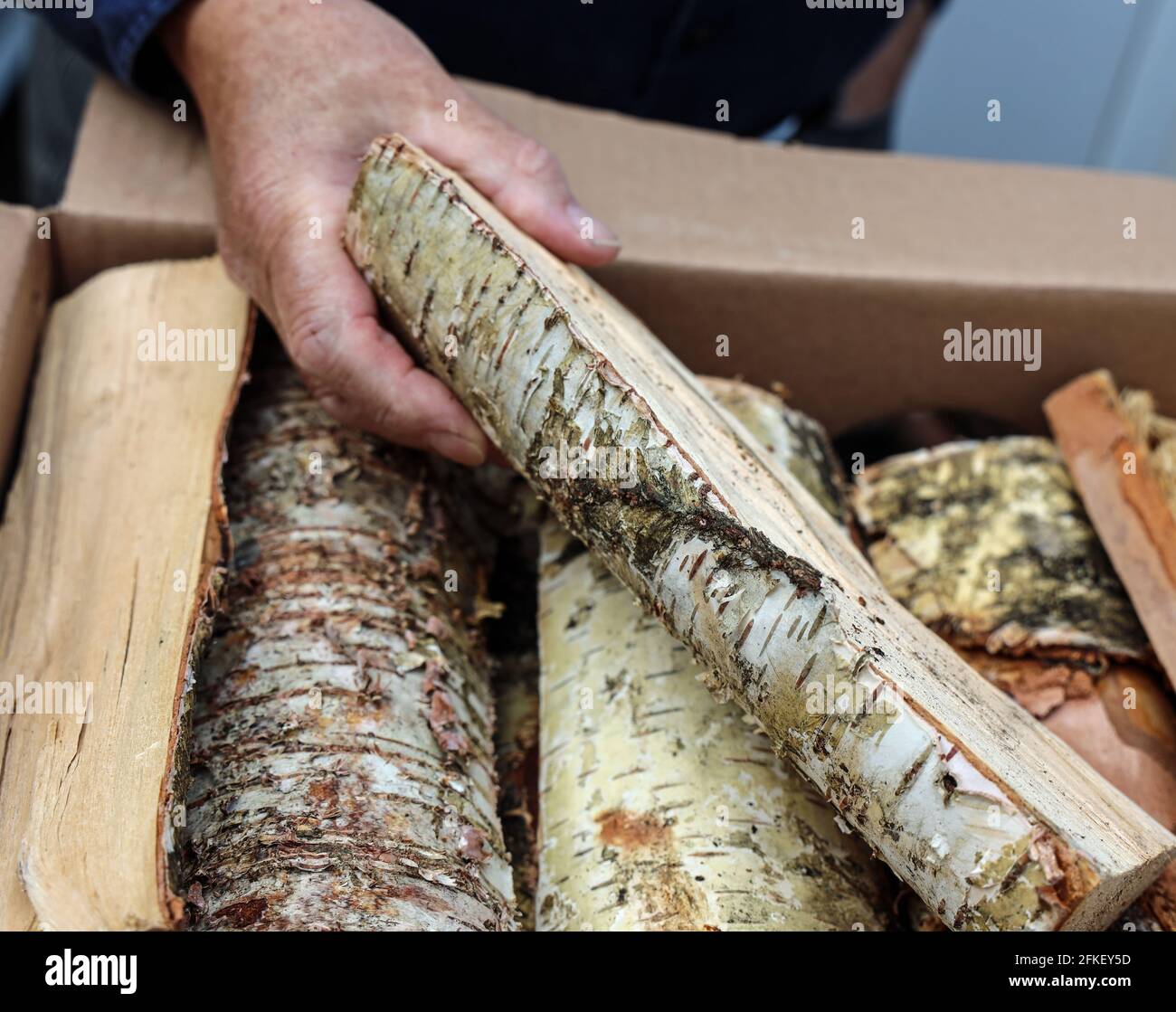 Kiln dried hardwood logs in a cardboard box, greener and sustainable ...