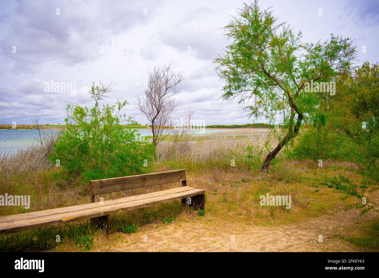 Beautiful lagoon lake seen through a bench on the shore Stock Photo - Alamy