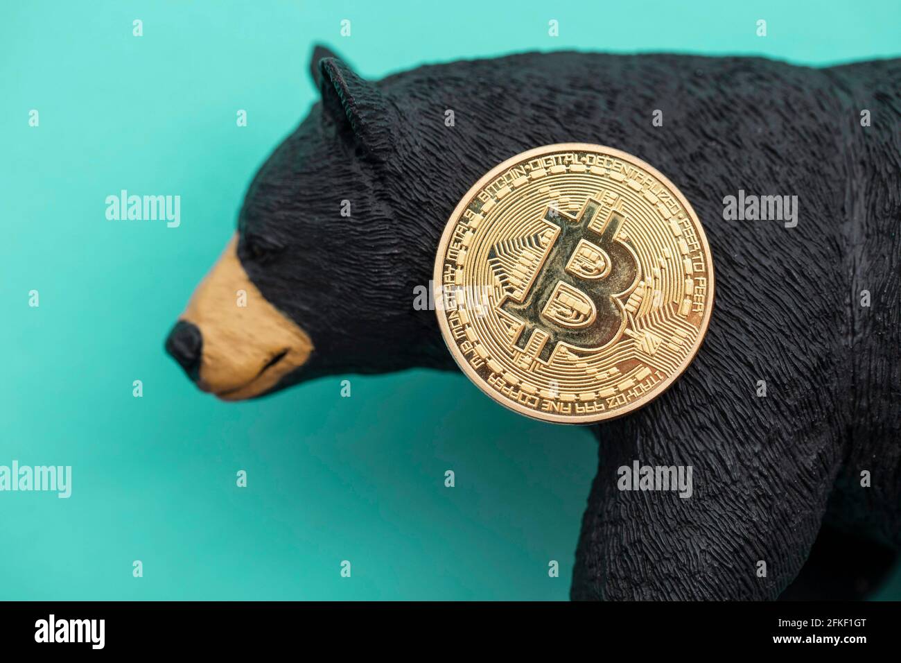 Bitcoin cryptocurrency coin with a grizzly bear. Bearish bitcoin ...