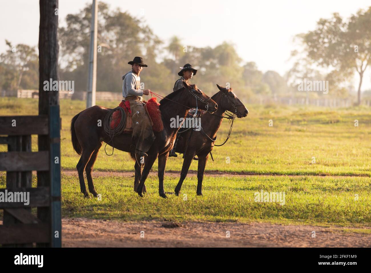 Pantaneiro cowboys riding horses at a fazenda in South Pantanal, Brazil ...