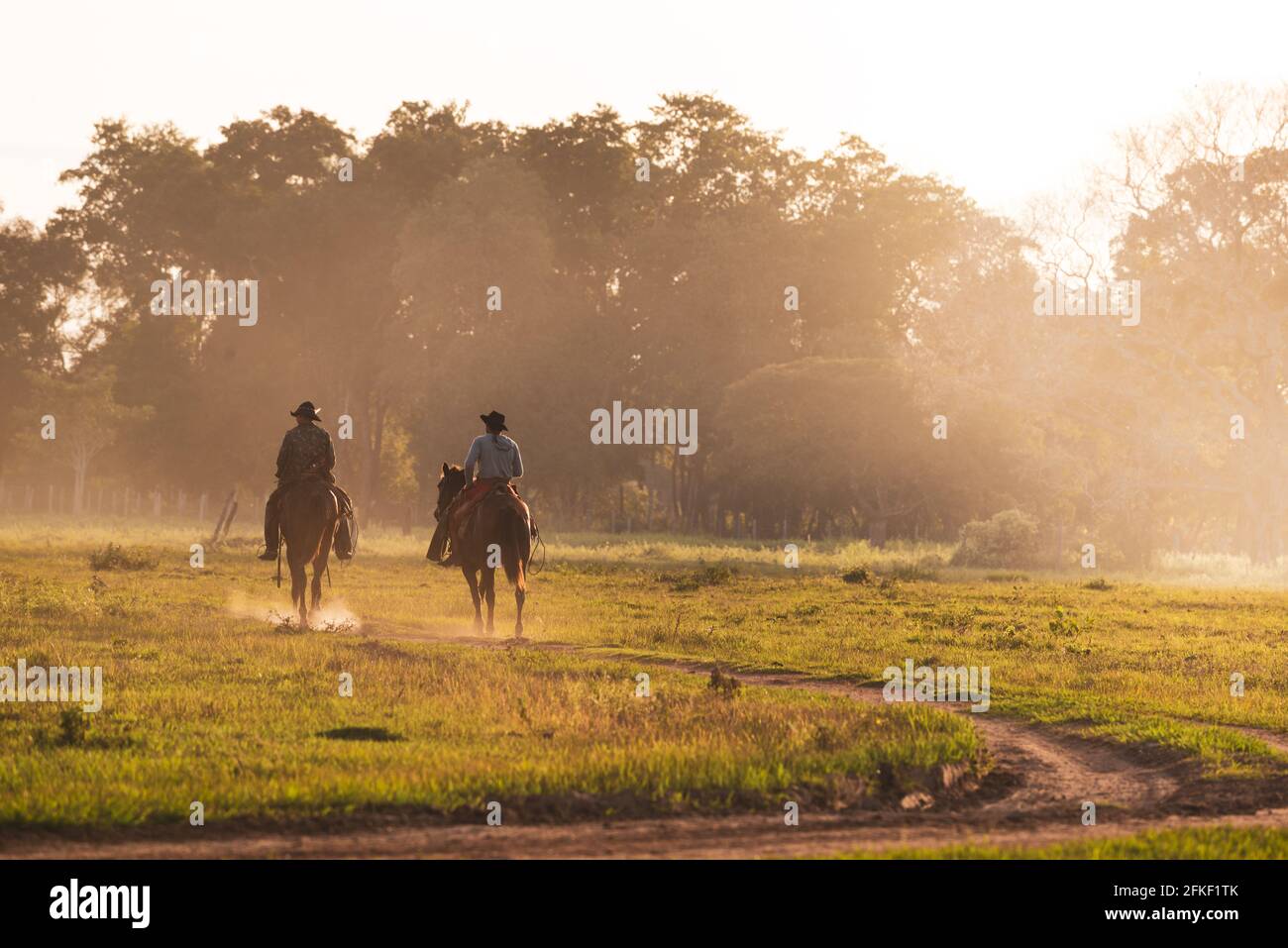 Ranch cowboy hi-res stock photography and images - Alamy