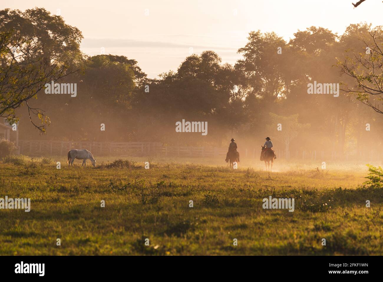 Ranch cowboy hi-res stock photography and images - Alamy