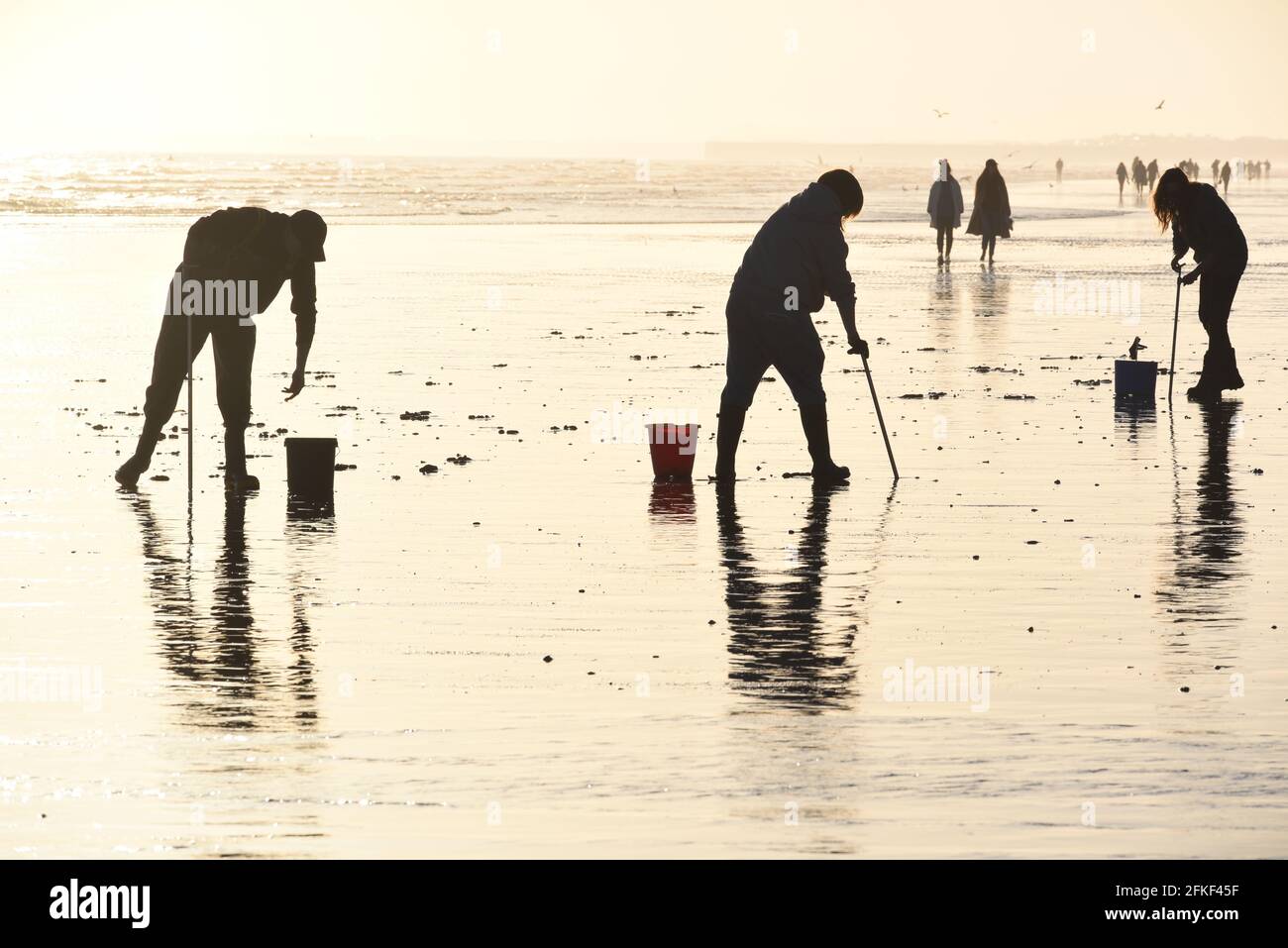 Bait digging beach hi-res stock photography and images - Alamy